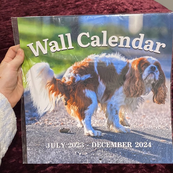 Wall Decor | New Dog Squatting Calendar 2324 | Poshmark